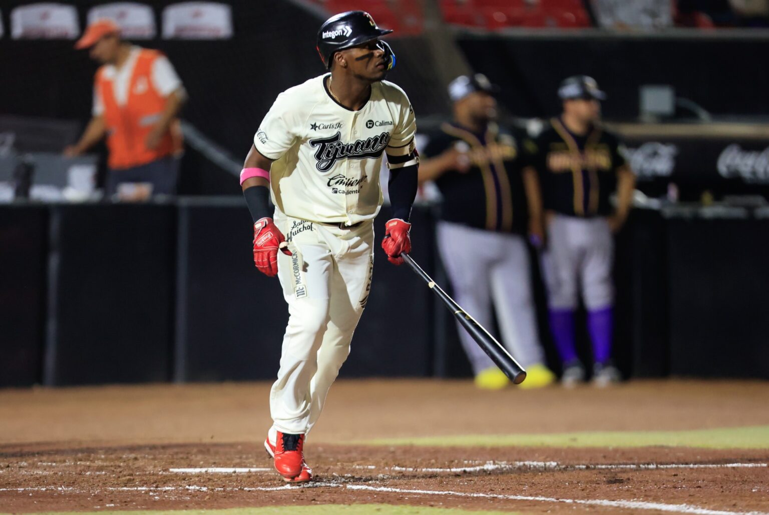 Acerca de - Toros de Tijuana